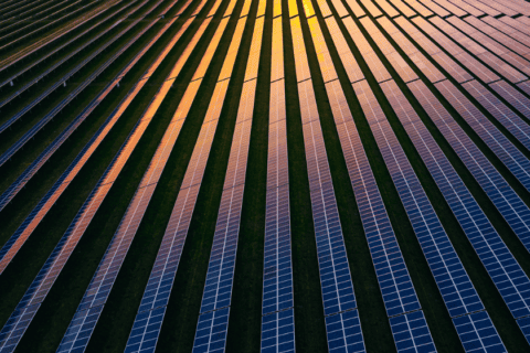 Global sustainability heavyweights outline how the new standards will ...